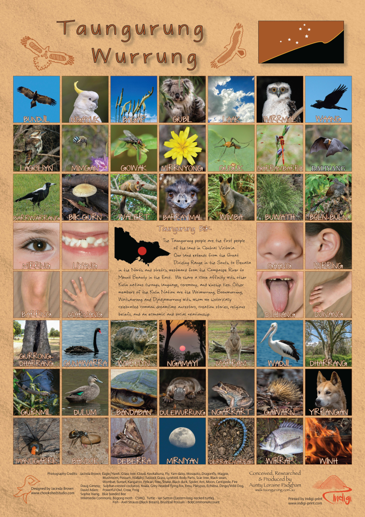 Taungurung Language Poster – Taungurung Land & Waters Council