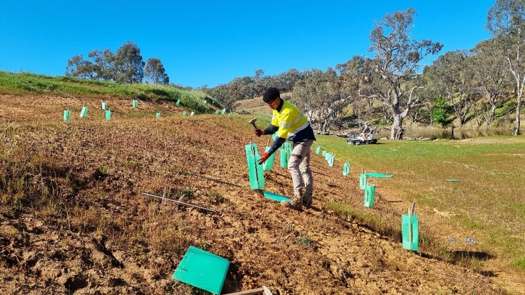 Biik Land Management – Taungurung Land & Waters Council